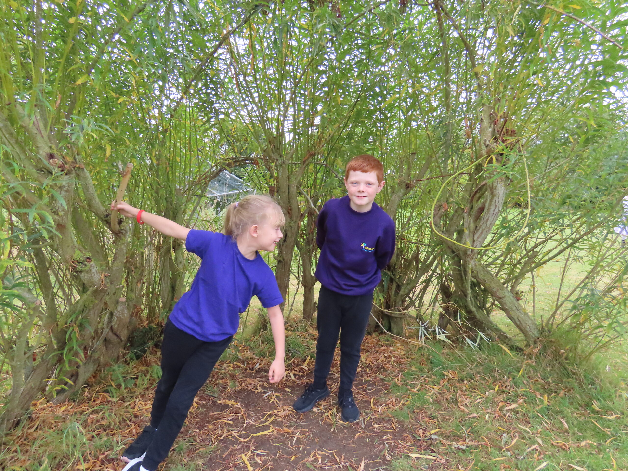 Gallery – Wimbish Primary Academy