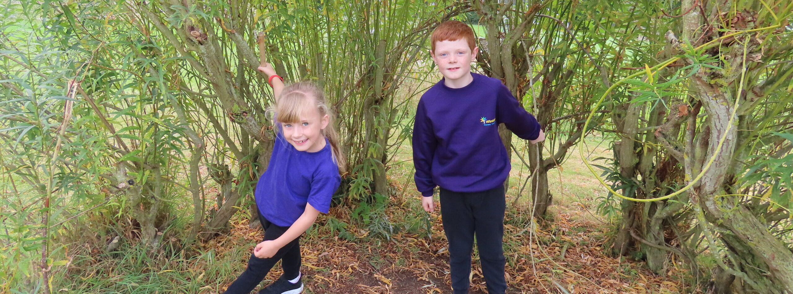 Willow Class – Wimbish Primary Academy