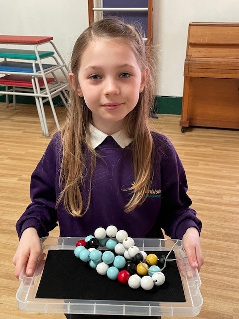 Willow and Birch Science Experience Day – Wimbish Primary Academy